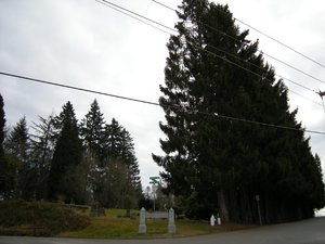 Bothell Pioneer Cemetery