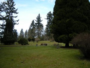 Bothell Pioneer Cemetery